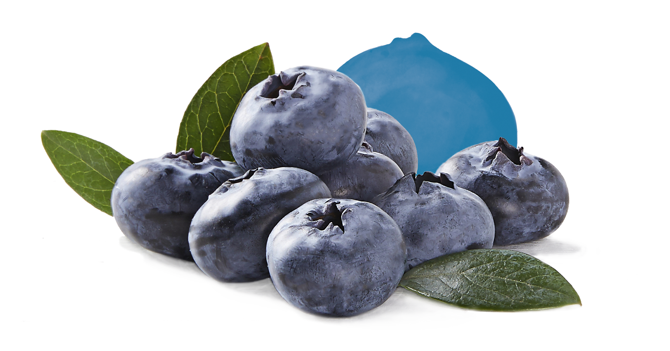 Blueberry banana bread Blueberry banana bread