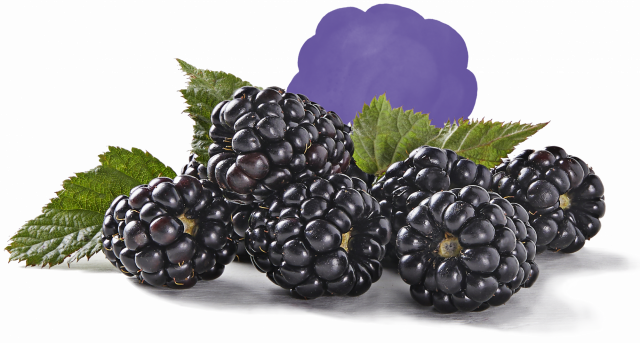 Driscoll’s® | Only the Finest Berries